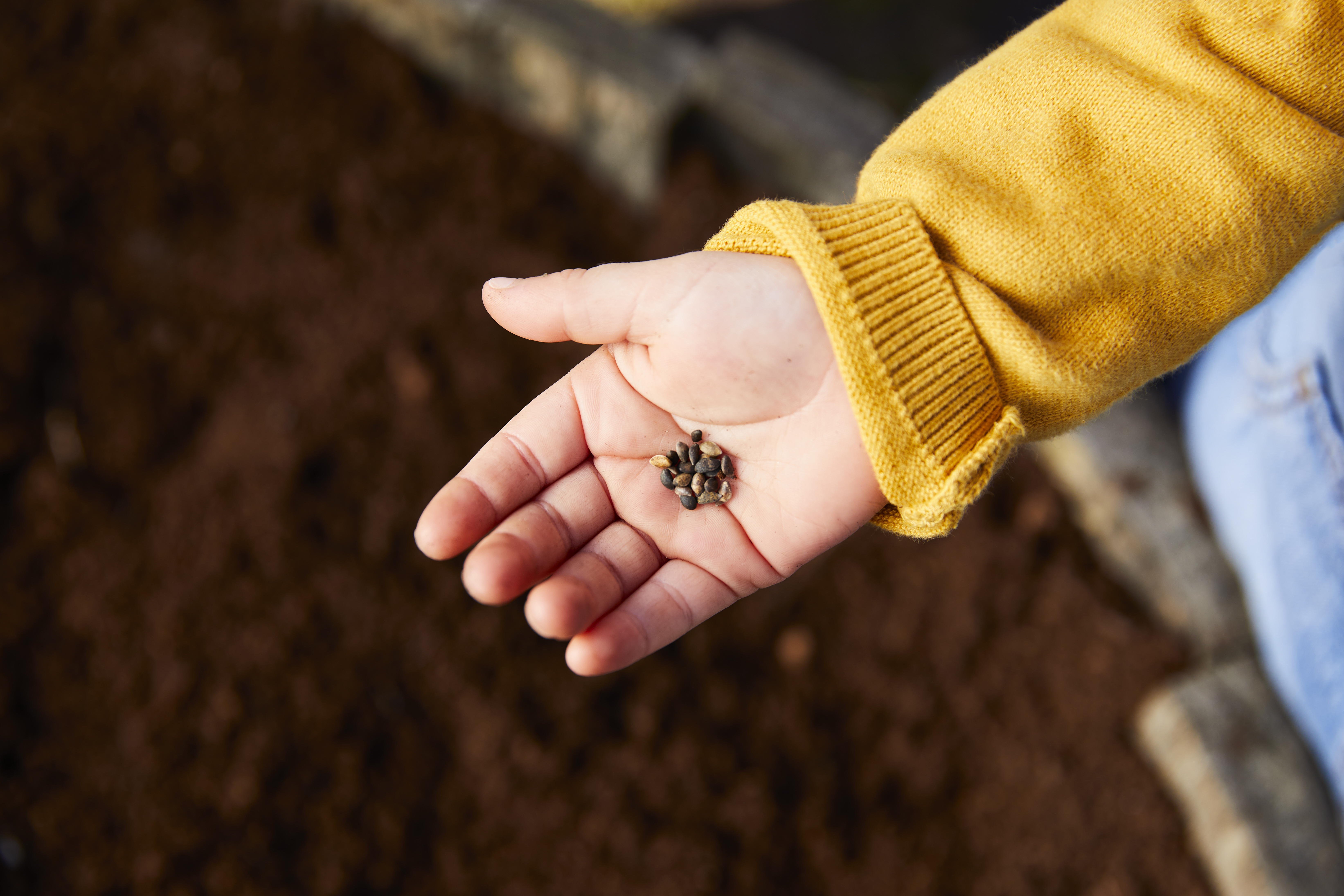 Carbon Capture with a Touch of Beauty: Restoring Scotland’s Natural ...