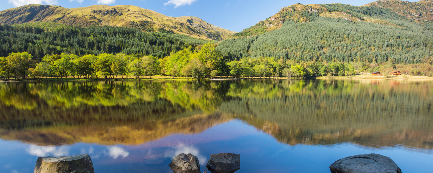 World Wildlife Day: Restoring Scotland's Beautiful Habitats and Native ...